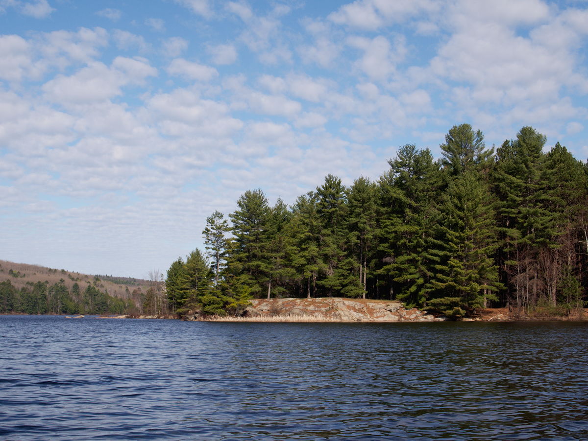 Day Trip from Achray to Johnston and Berm Lake